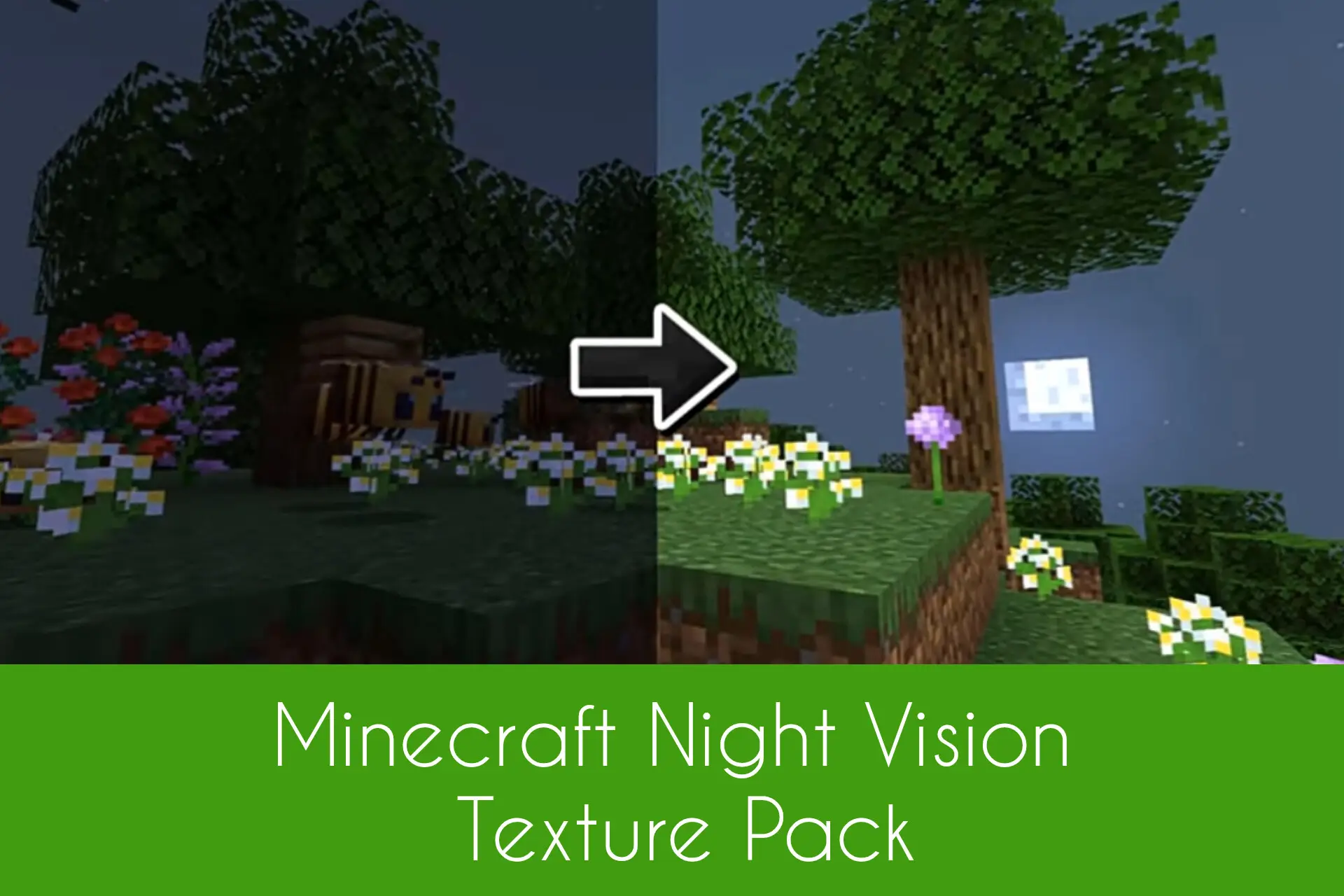 Minecraft Night Vision Texture Pack