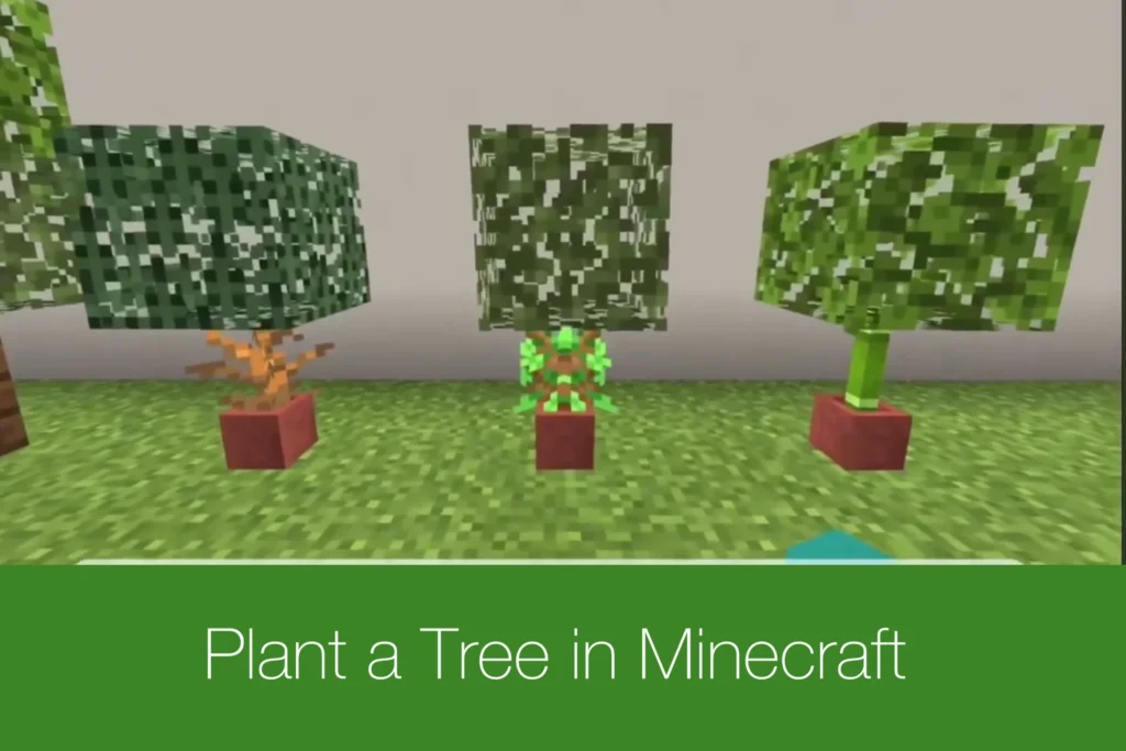 How to Plant Trees in Minecraft?